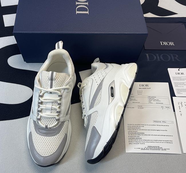 Dior B22 White Silver - katehub